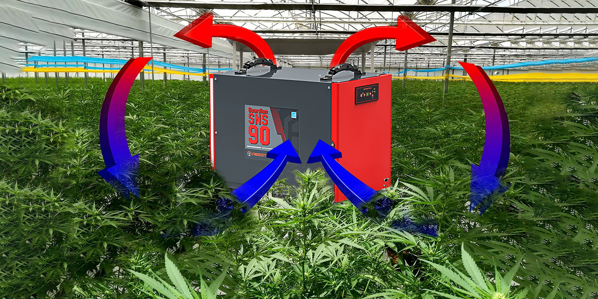 The Best Dehumidifier For Grow Tent
