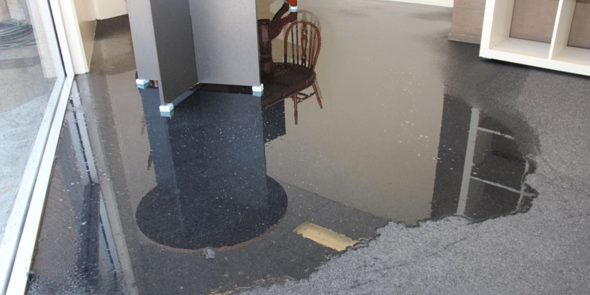 How To Dry A Wet Carpet? A Comprehensive Guide